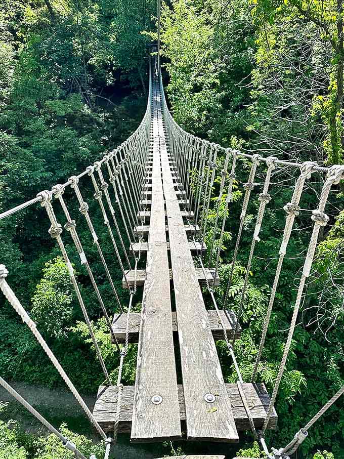 The suspension bridge awaits, a wooden serpent stretching across the void, daring you to take that first step.