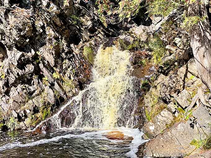 Fall River cascades over ancient North Shore rock, creating a natural symphony that drowns out everything except the moment you're standing in.