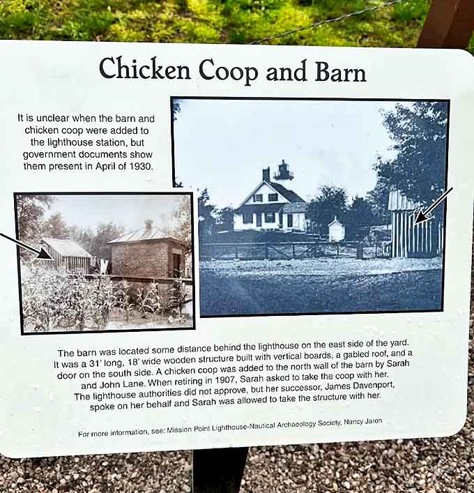 Lighthouse keepers weren't just guardians of the light - they were practical farmers who kept chickens and livestock on these grounds.