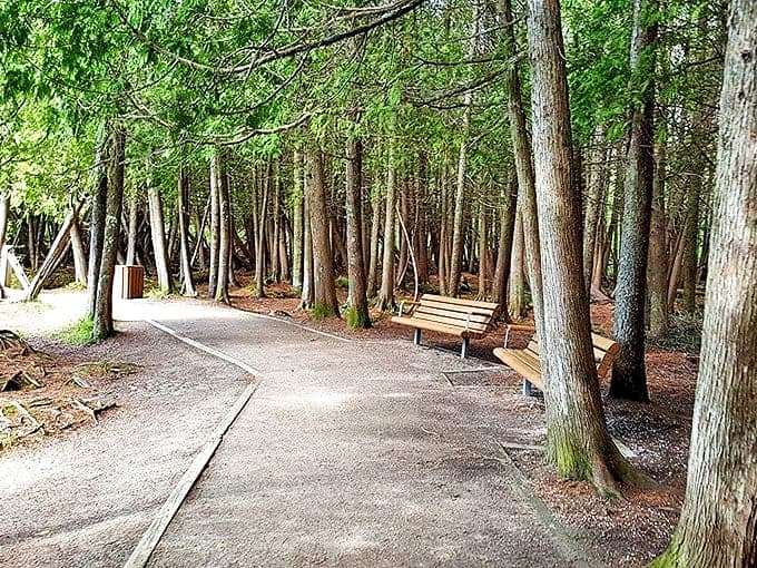 Forest trails around Manistique invite visitors to wander beneath towering pines, where benches await those wise enough to sit and listen.