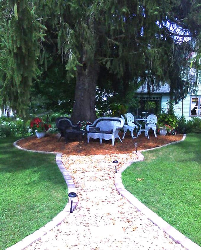 The garden seating area under the massive evergreen feels like finding a secret room without walls &ndash; nature's version of a cozy nook.