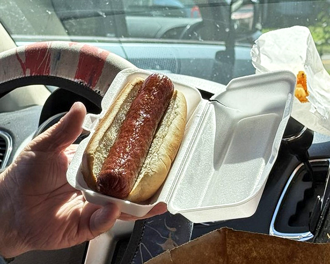 The classic hot dog – nestled in a soft bun, ready to transport you back to simpler times with every bite.