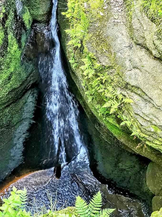 Liquid silver threads its way through moss-covered stones, creating a hidden waterfall oasis that rewards those who venture off the main path.