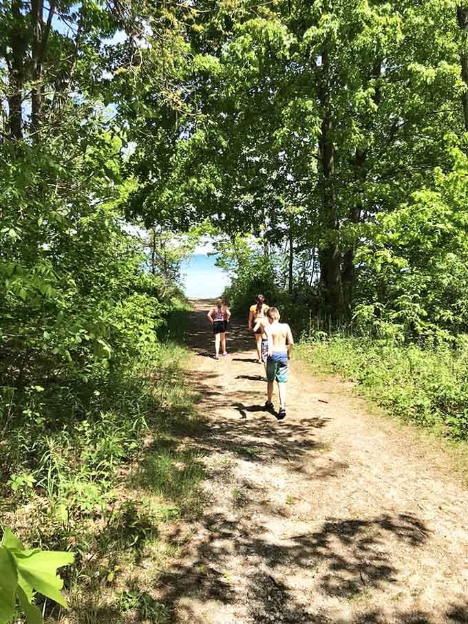 Nature's invitation to adventure, this simple trail promises discoveries around every bend and the lake's blue reward at journey's end.