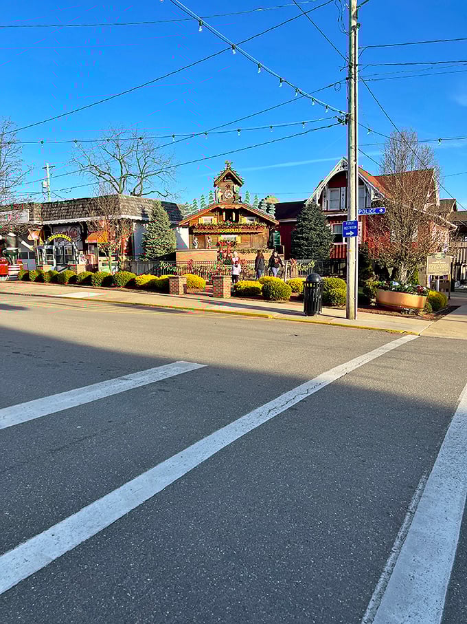 Sugarcreek's main street looks like someone shrunk Switzerland and planted it in Ohio. The famous cuckoo clock stands ready to delight visitors with its charming mechanical dance.