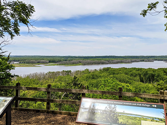 Mississippi Palisades State Park offers that rare moment when you feel simultaneously tiny and infinite, perched above one of America's greatest rivers.