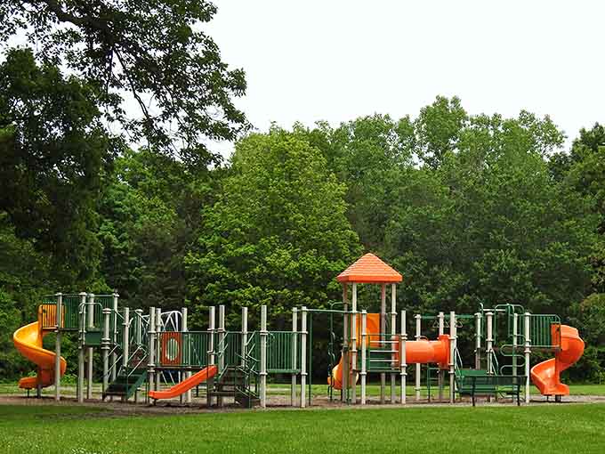 City County Park offers the kind of playground that makes kids forget their tablets exist, at least temporarily.