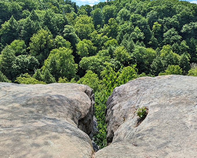 Dramatic rock formations frame a breathtaking view of the forest canopy – nature's own observation deck.