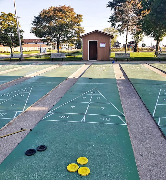 Shuffleboard courts where grandparents routinely humble their grandchildren in the timeless art of strategic disk sliding.