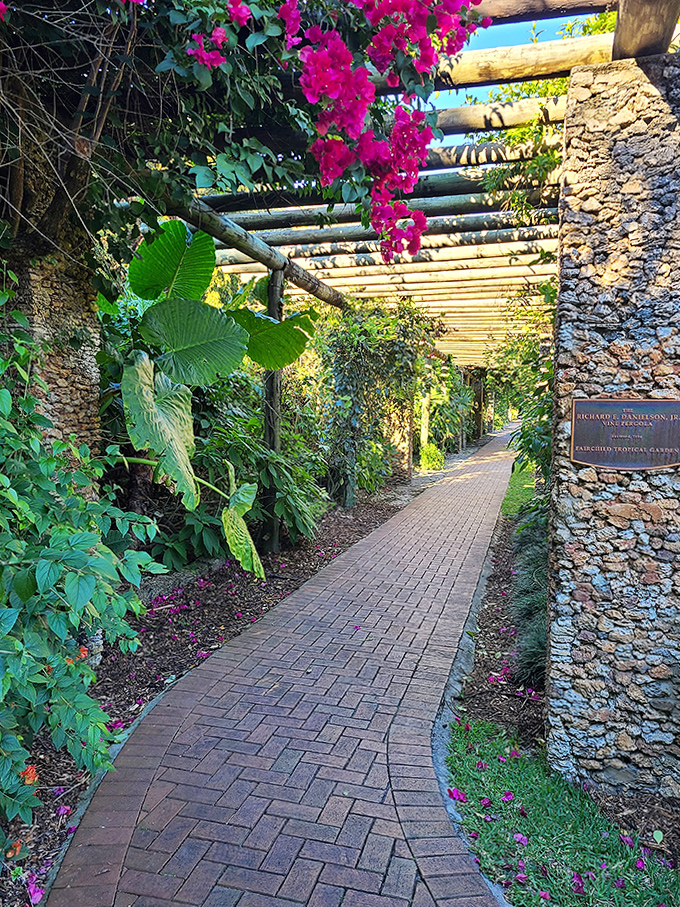 Walking through this stone pergola feels ceremonial, like being initiated into a secret society of plant lovers.