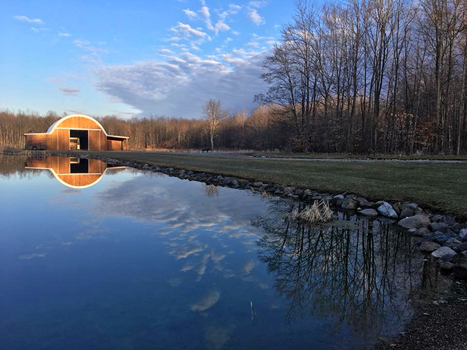 Nature's evening show begins as sunlight filters through bare branches, casting golden light across the property's tranquil landscape.