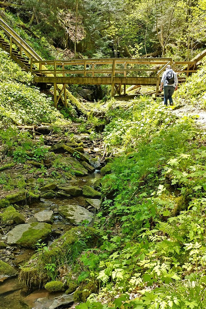 That moment when you realize you're not just crossing a bridge &ndash; you're walking between two worlds of wonder.