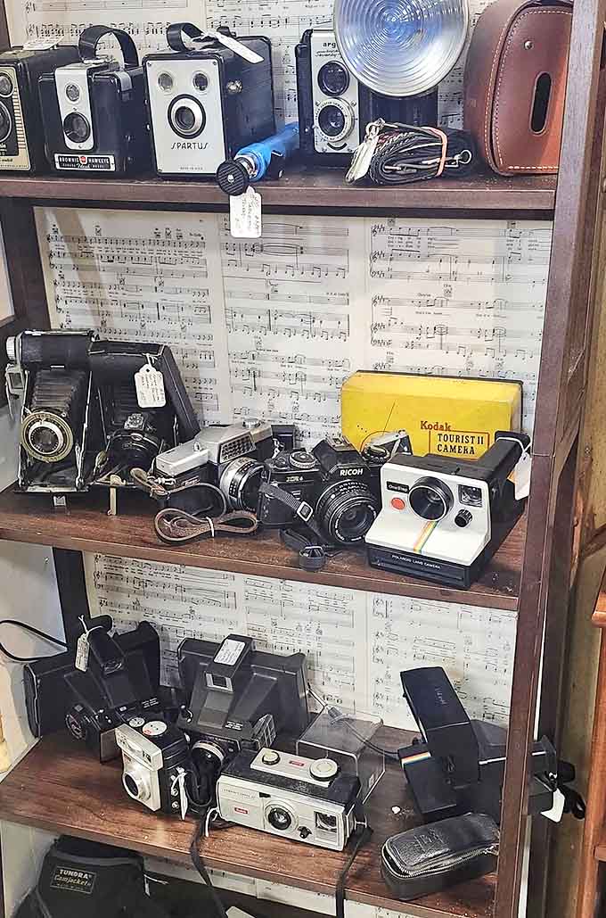 Before smartphones made everyone a photographer, these mechanical marvels captured memories one carefully composed frame at a time.