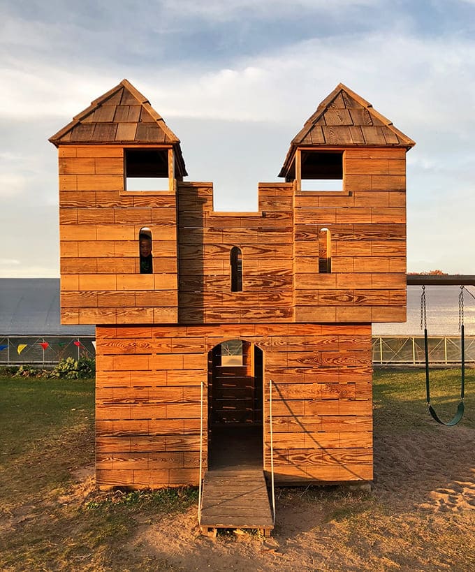 This wooden castle playground structure proves that farms know how to do fun right, medieval-style meets agricultural charm perfectly.