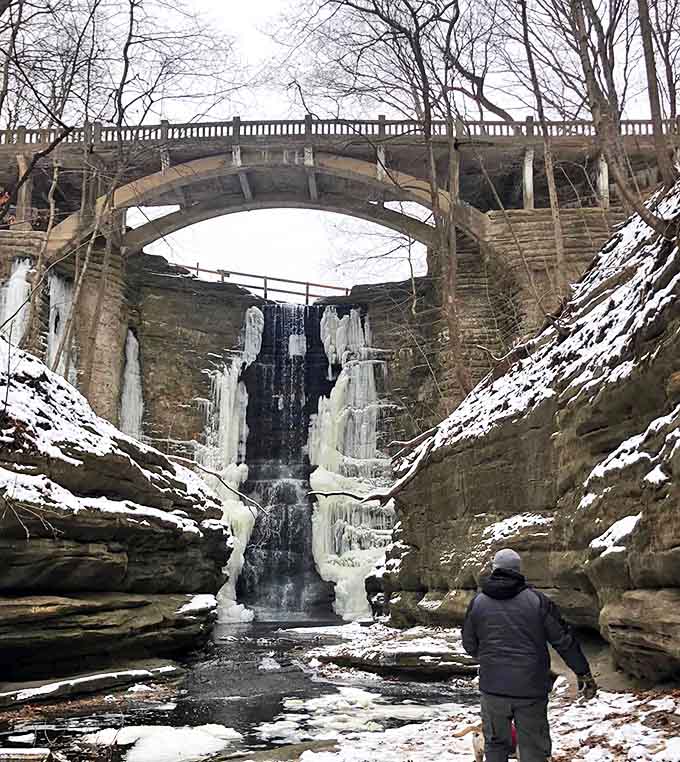 Winter's frozen magic: The falls transform into a crystalline sculpture when temperatures drop, creating an entirely different spectacle.