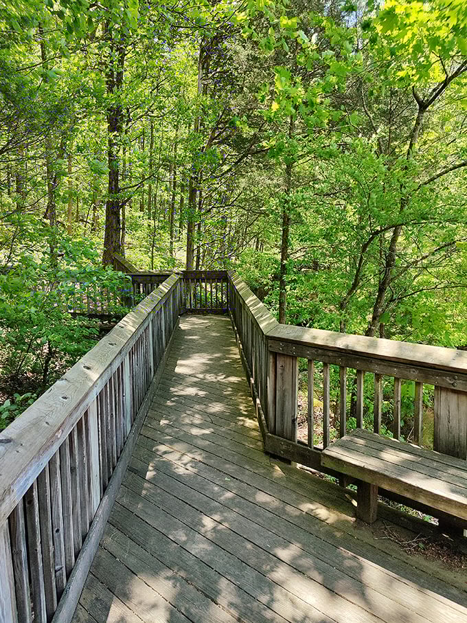 Autumn's golden hour at Rim Rock transforms ordinary wooden steps into a stairway that seems to lead straight to heaven.