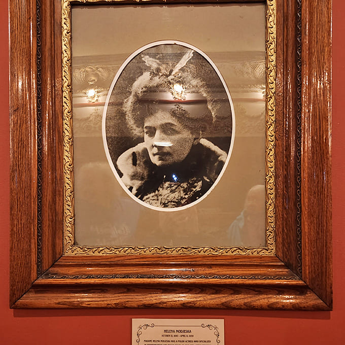 This portrait captures an actress from an era when stage presence meant everything, her gaze still commanding attention across more than a century.