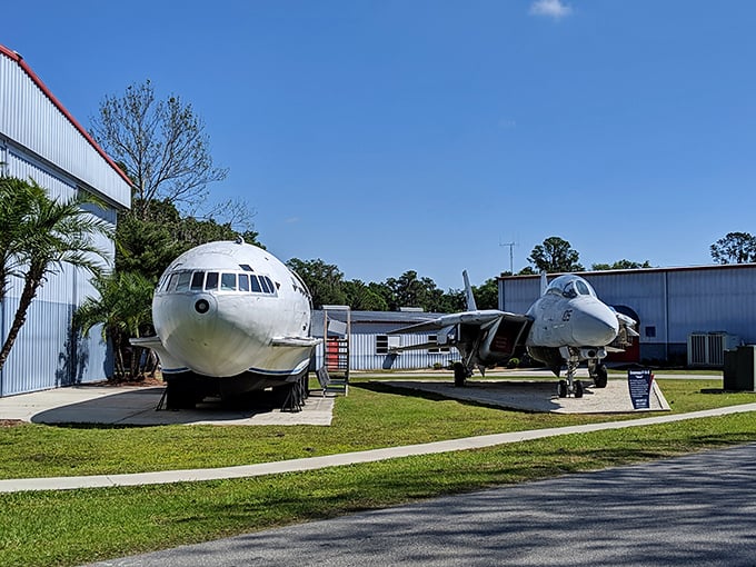 A fighter jet and transport plane sharing space like odd roommates. One designed for speed and stealth, the other for hauling people and cargo—the aviation odd couple.