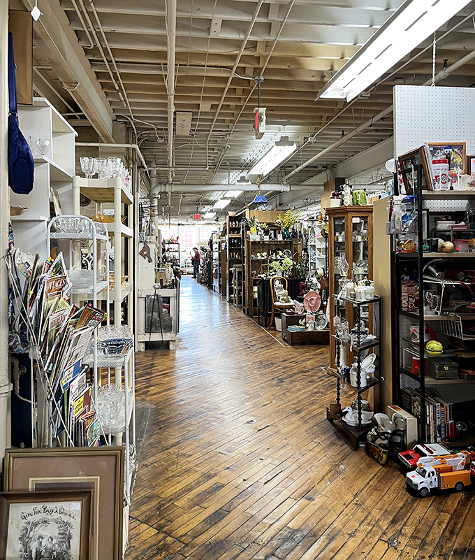 Treasure hunting made easy! Wide aisles filled with curated booths invite you to lose yourself in nostalgic exploration.