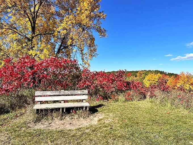 Nature's most spectacular fashion show happens each fall, when Lake Maria's maples and oaks dress in their most vibrant seasonal attire.