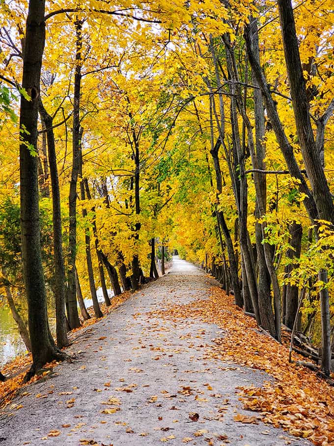 Fall in Ohio isn't just a season, it's a spectacular show &ndash; Lake Hope's autumn colors create a natural painting worth a thousand words.