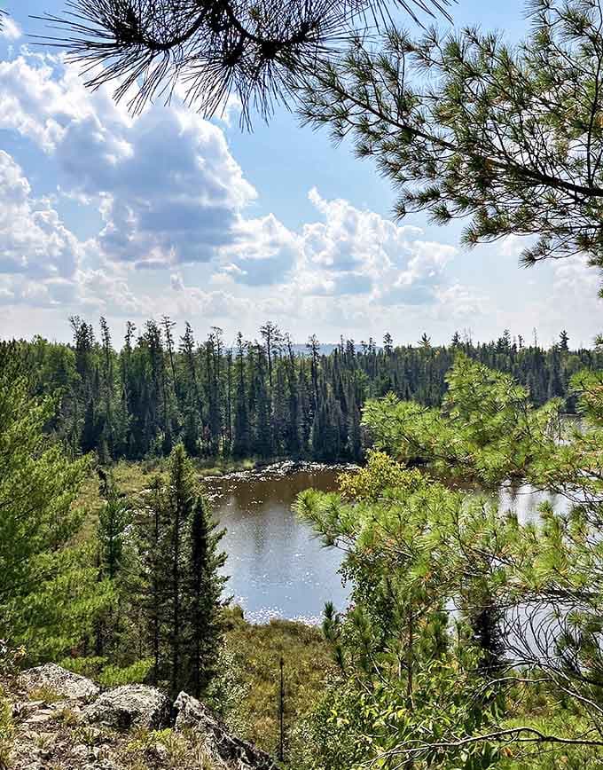 The kind of view that makes smartphone cameras feel wholly inadequate &ndash; where Minnesota's forests and waters create a masterclass in natural composition.