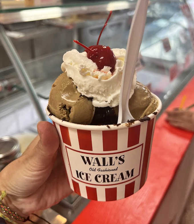 The black forest ice cream cup combines rich chocolate ice cream with whipped cream and cherries &ndash; like the classic cake reimagined in frozen form.