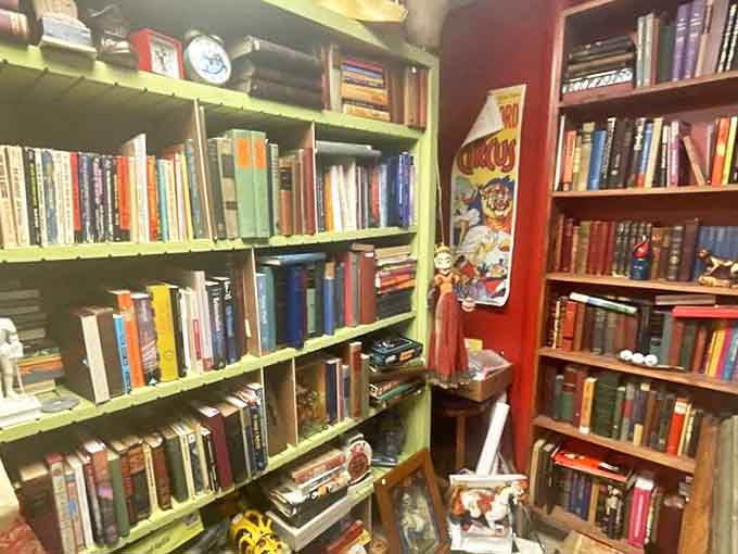 Books stacked floor to ceiling &ndash; a bibliophile's dream or a fire marshal's nightmare? Why not both!