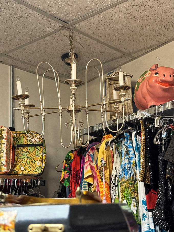 Hanging above racks of vintage clothing, this brass chandelier once illuminated someone's special occasions. The stories it could tell!