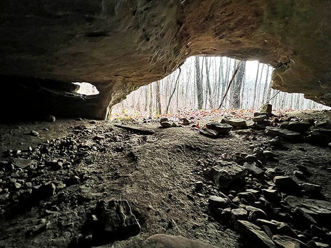 Peering out from the cool darkness of Ox-Lot Cave reveals a framed portrait of the forest beyond.