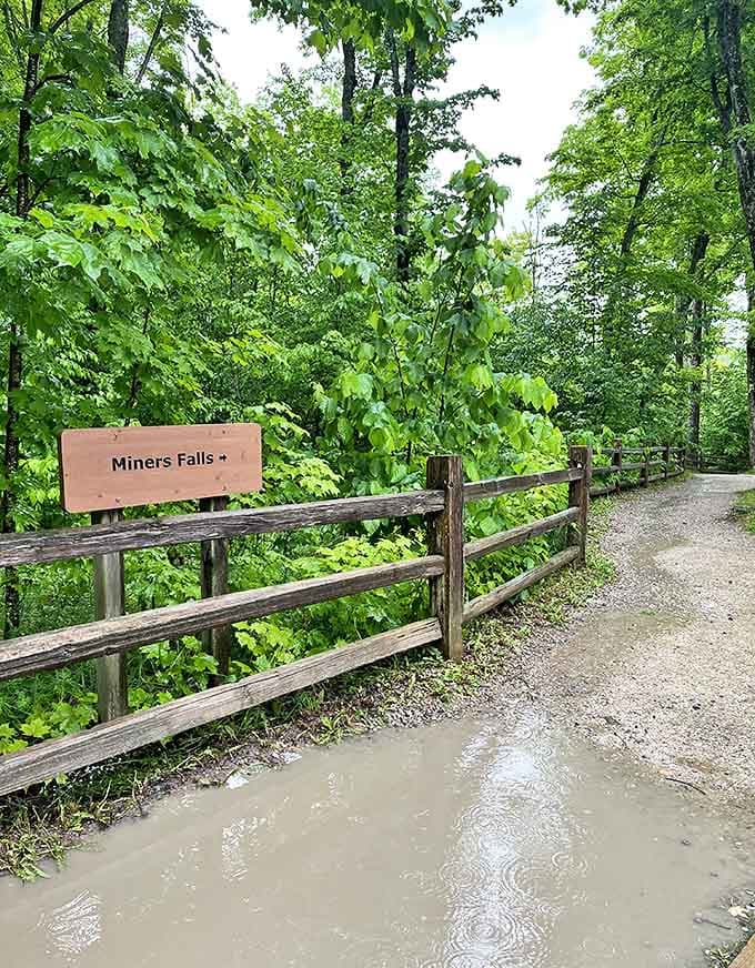 When even the signs are picturesque, you know you're in a special place where nature and thoughtful park planning actually get along.