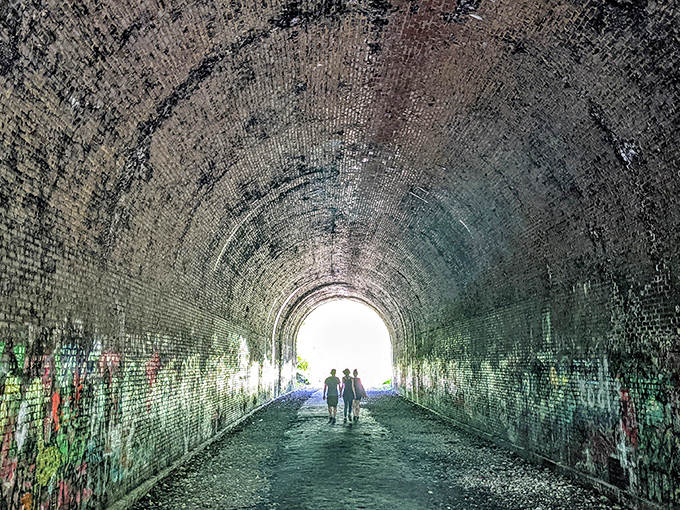 Light at the end of the tunnel isn't just a metaphor here&mdash;it's a breathtaking frame for the forest beyond.