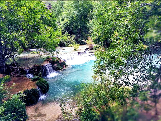 Refreshing respite: The creek's gentle flow creates perfect wading pools among the greenery, a stark contrast to the surrounding desert.