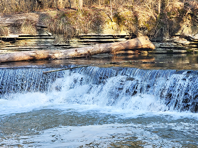 A gentle waterfall creates ripples across the creek surface, hypnotizing visitors with its simple, perfect rhythm.