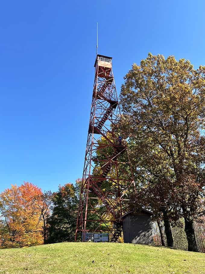 Climb 80 feet up this historic tower and suddenly Ohio looks less like farmland and more like a scene from "Planet Earth."