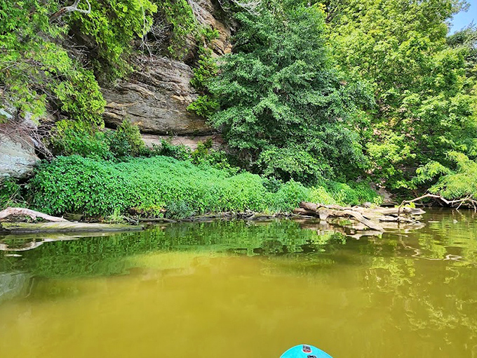 Kayakers enjoy a different perspective of Buffalo Rock from the water, where the park's namesake buffalo silhouette becomes apparent.