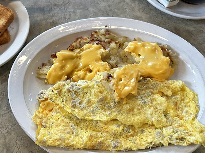 Cheese-draped hash browns alongside a perfectly folded omelet &ndash; the breakfast duo that's launched a thousand satisfied sighs across Illinois.
