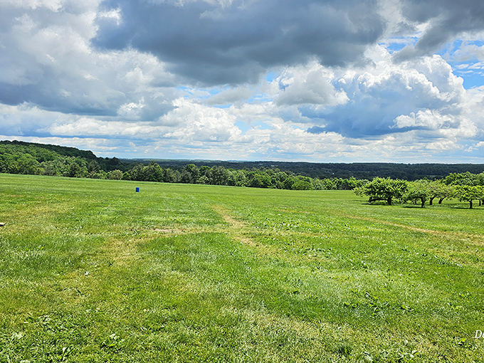 Nature and history blend seamlessly across these verdant fields, where clouds cast playful shadows on the historical landscape below.