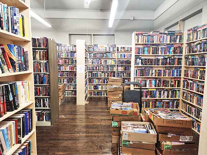 Meticulously organized shelves create a labyrinth of literary wonders, inviting browsers to lose themselves among countless stories.