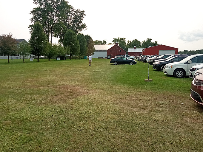 The humble parking area serves as the gateway between ordinary life and floral wonderland &ndash; leave your troubles in the car, bring only your sense of wonder.