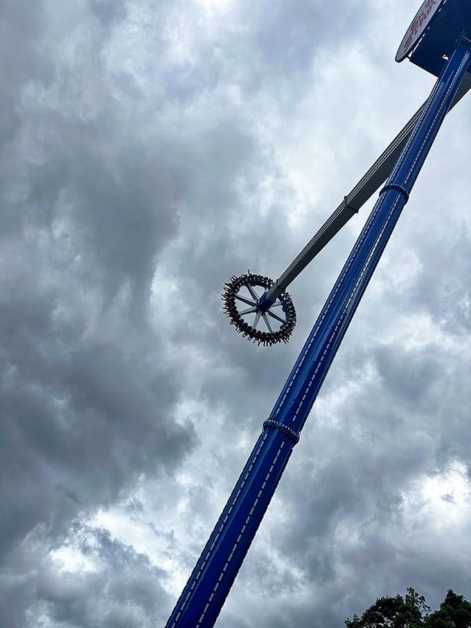 That moment when physics and regret meet at the top of a very tall, very fast swing.