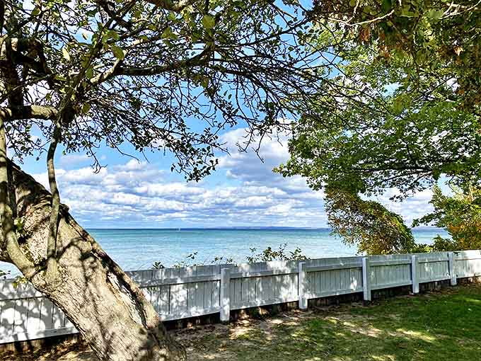 Nature frames the perfect view of Grand Traverse Bay, where the 45th parallel divides our world exactly halfway between pole and equator.