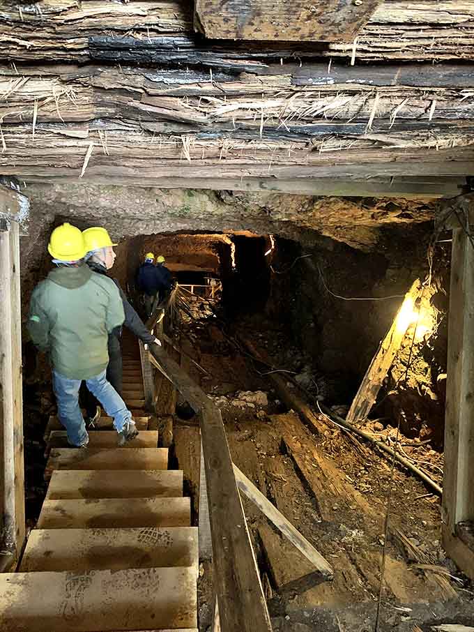 Wooden steps descend into darkness, each creaking board a countdown to your underground journey through mining history.