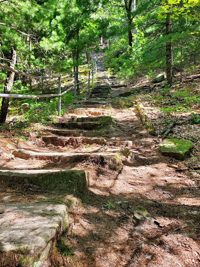 These well-worn steps have carried countless adventurers toward breathtaking vistas. Each one brings you closer to that "I can't believe this is Wisconsin" moment.