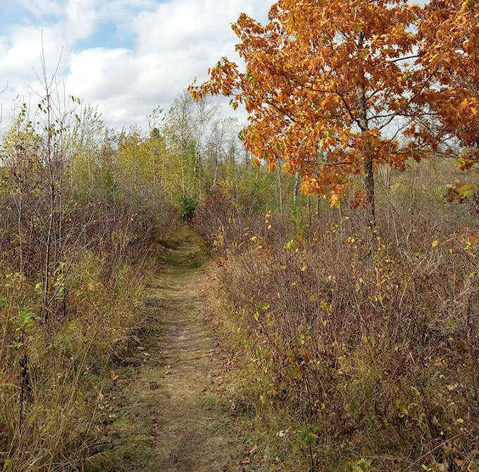 This humble trail doesn't need fancy signage &ndash; it simply beckons with the promise of discoveries around every bend.