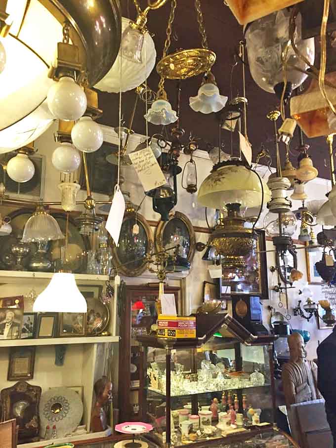 Look up! Antique chandeliers and fixtures dangle like historical jewelry, creating a magical ceiling of light that transforms the browsing experience.