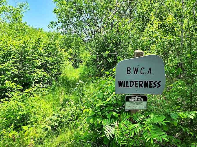 "B.W.C.A. WILDERNESS" &ndash; the sign might as well read "Adventure This Way" for those seeking Minnesota's most pristine natural treasures.