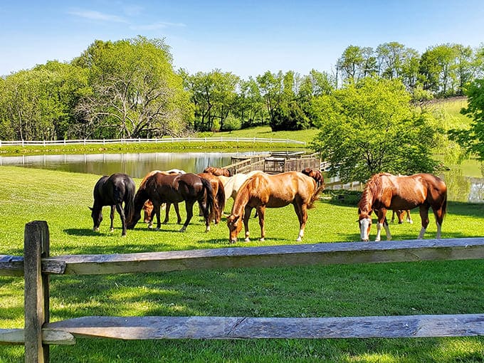 Explore nature the way people did for thousands of years before GPS&mdash;on horseback with nothing but views.