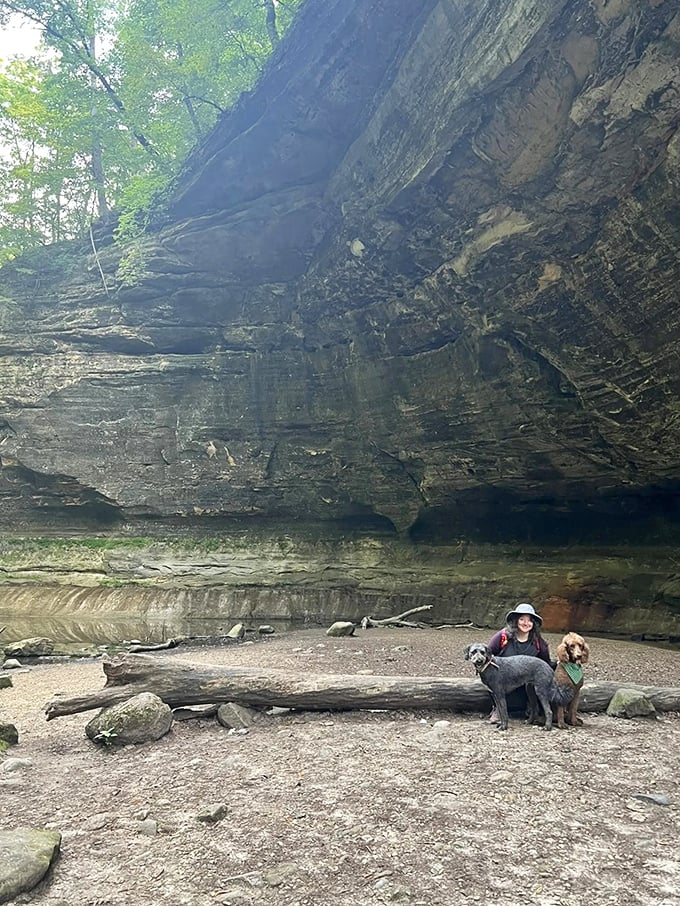 Four-legged hikers appreciate the park's pet-friendly trails too &ndash; though they're less impressed by the geology and more interested in the fascinating smells.