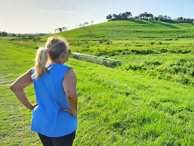 Taking in the expansive views, visitors often find themselves pausing to appreciate the rare elevation in Florida's typically pancake-flat landscape.